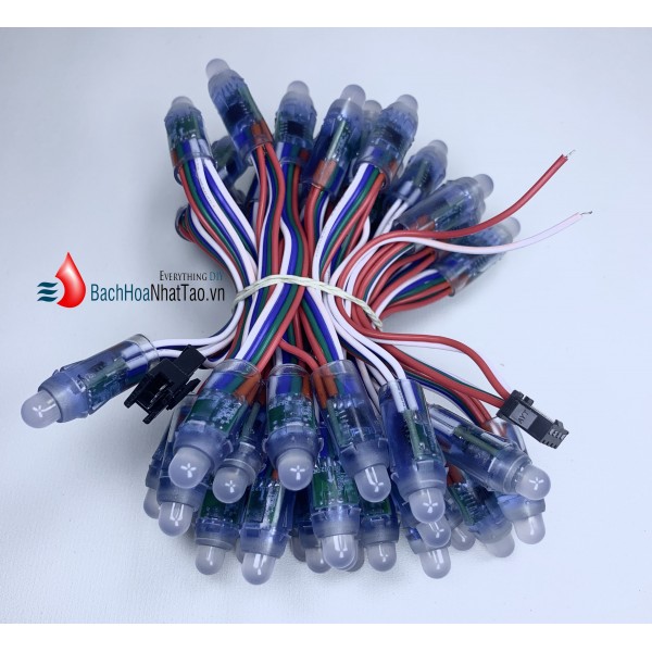 Led Đúc F8 Full Color IC 8206 Auto