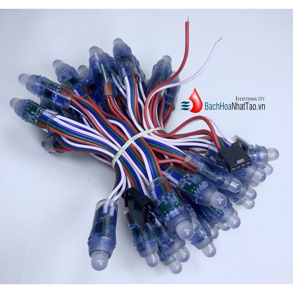 Led Đúc F8 Full Color IC 8206 Auto